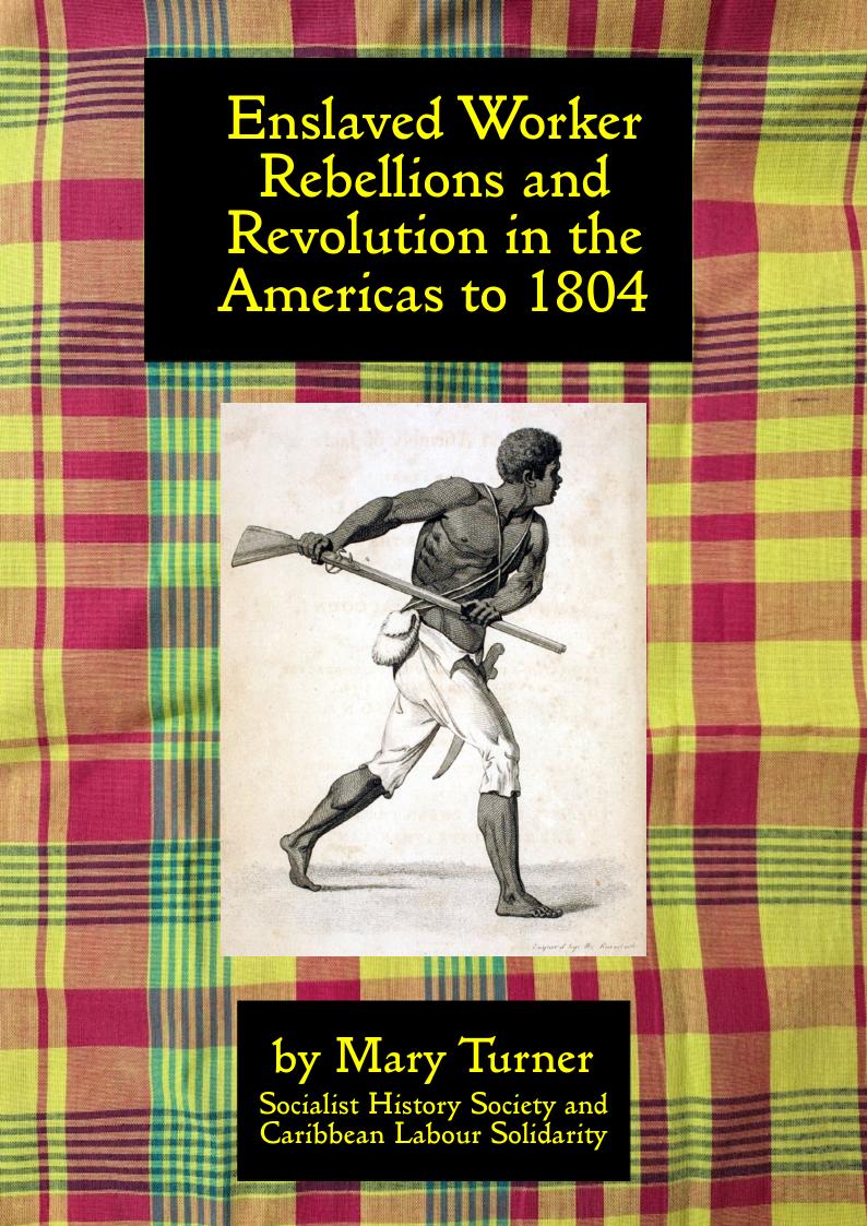 Enslaved Worker Rebellions and Revolution in the Americas to 1804 ...